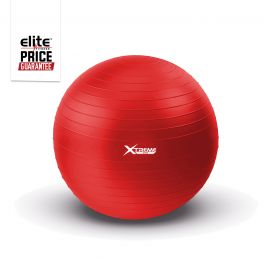 Swiss Ball | Elite Fitness NZ