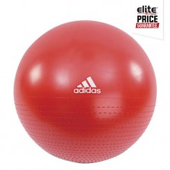Swiss Balls | Elite Fitness | Elite Fitness NZ