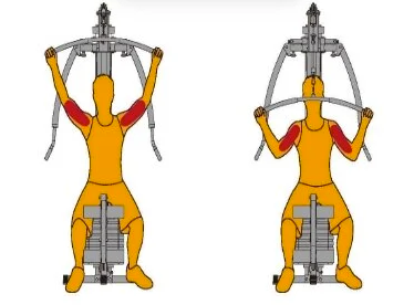 Multi-Gym Workout Guide | Elite Fitness NZ